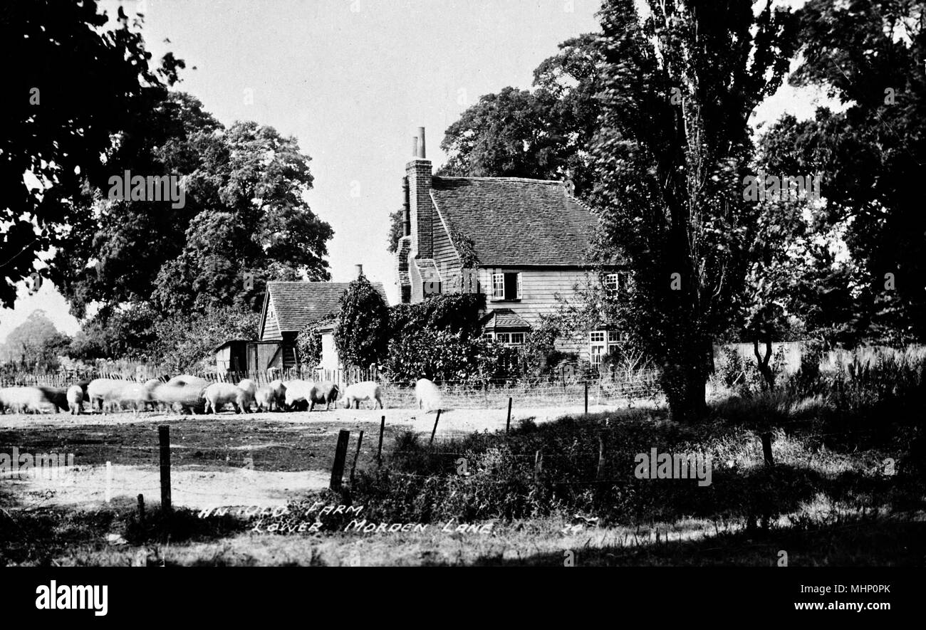 Morden Surrey High Resolution Stock Photography and Images - Alamy