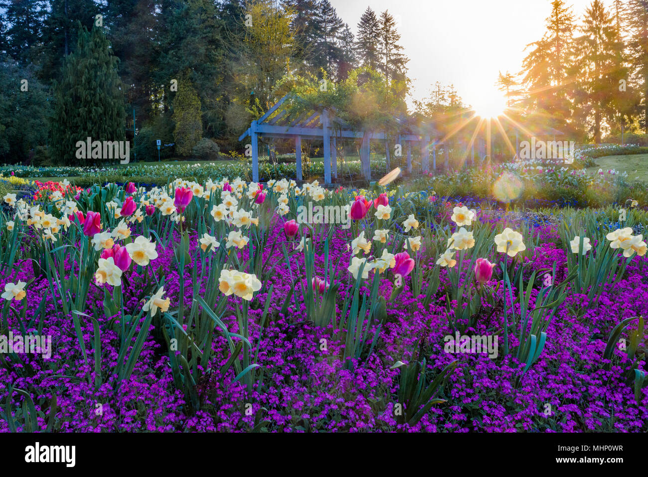 Stanley park vancouver spring hi-res stock photography and images - Alamy
