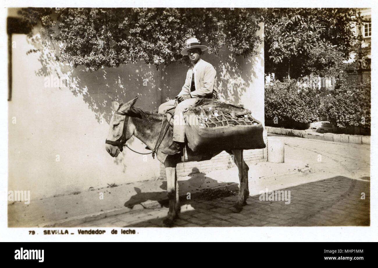 Milk vendor on a donkey, Seville, Spain Stock Photo - Alamy