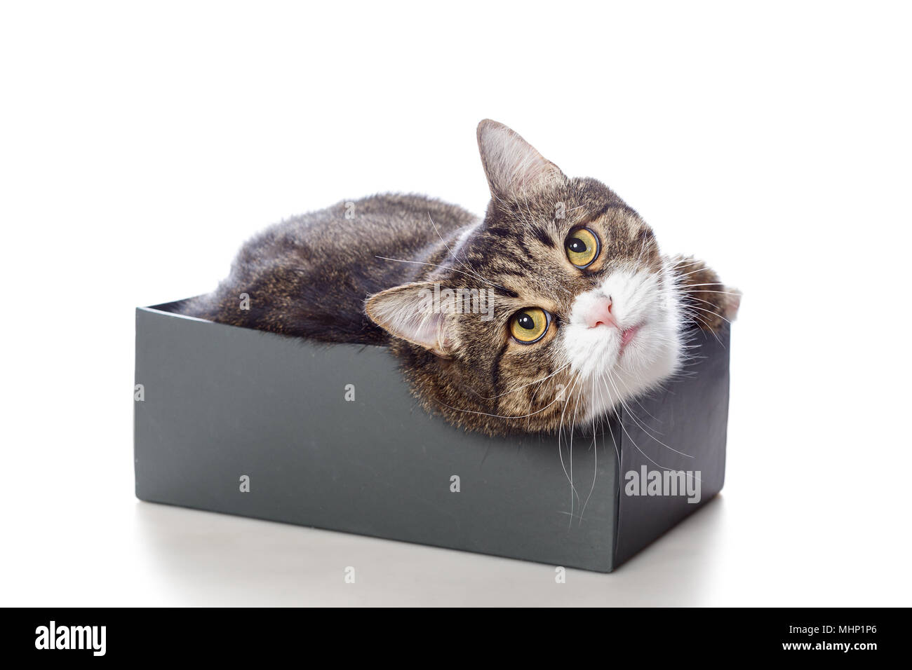 Box bed hi-res stock photography and images - Alamy