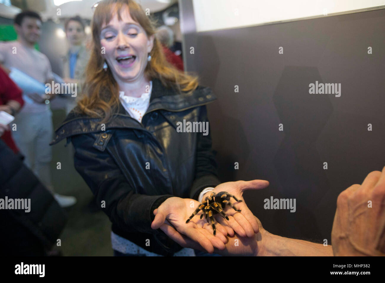 Maggie dunne holds hi-res stock photography and images - Alamy