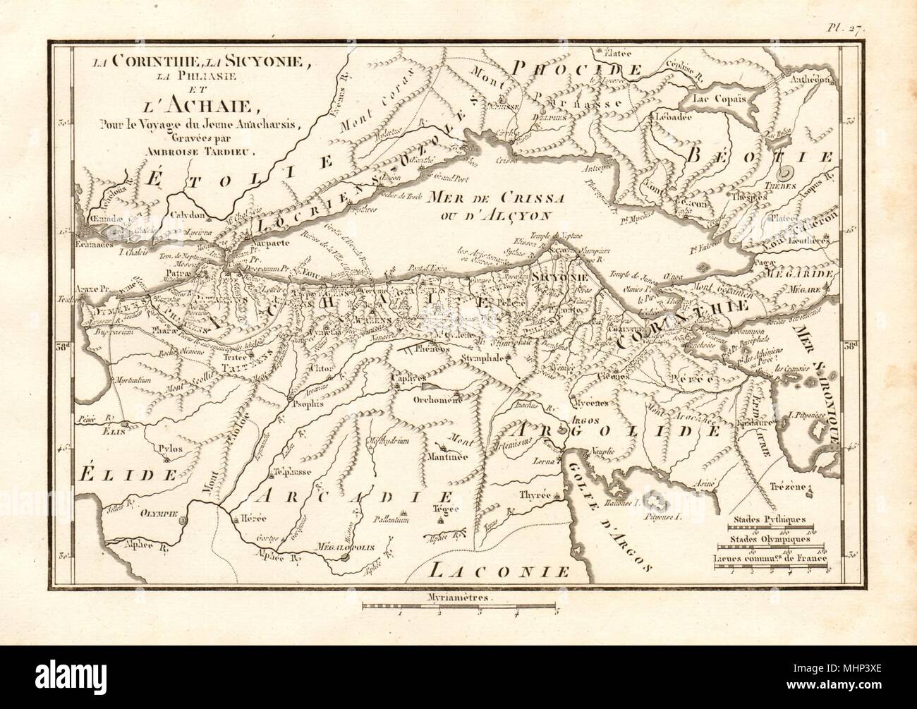 Sicyonia hi-res stock photography and images - Alamy