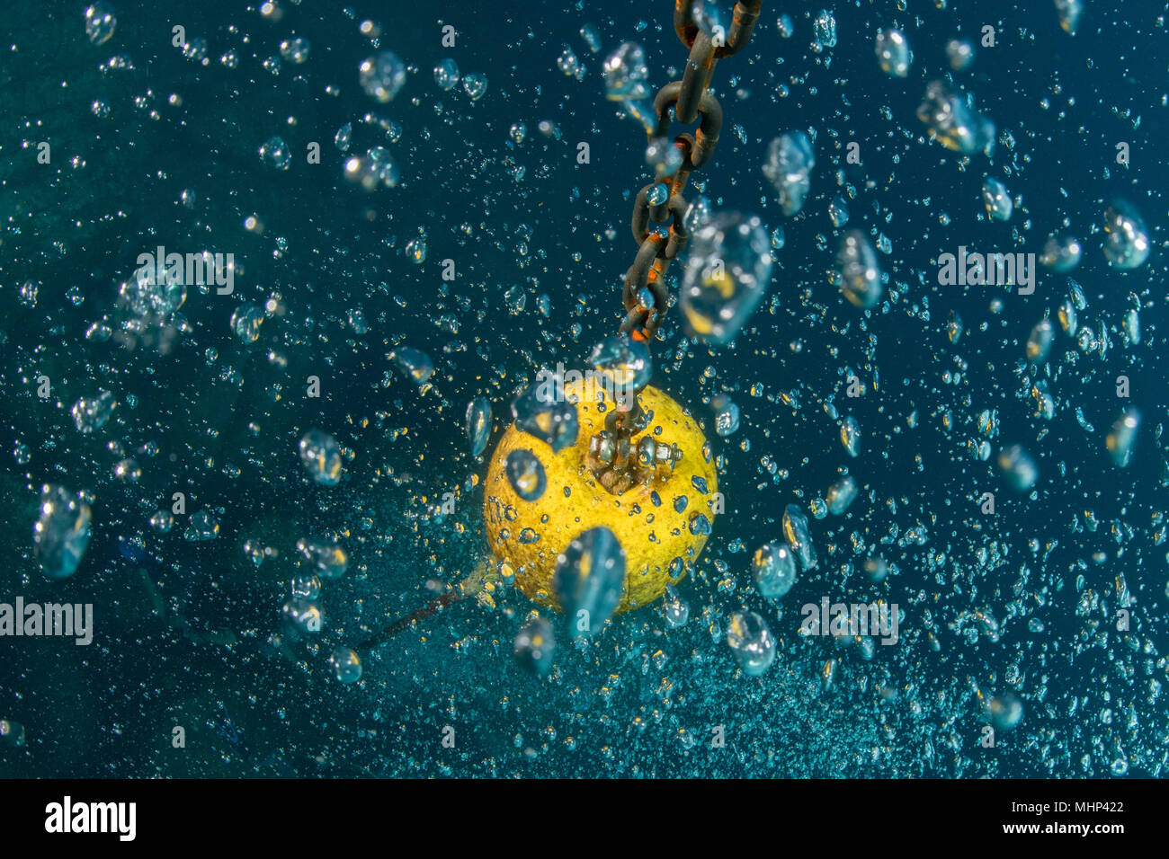 Bubbles from scuba diver hi-res stock photography and images - Alamy