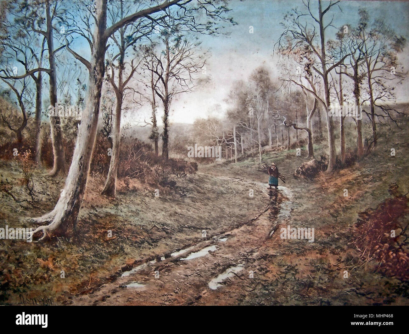 Sherrin hi-res stock photography and images - Alamy