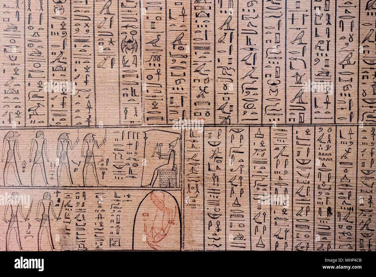 Hieroglyphs on papyrus hi-res stock photography and images - Alamy