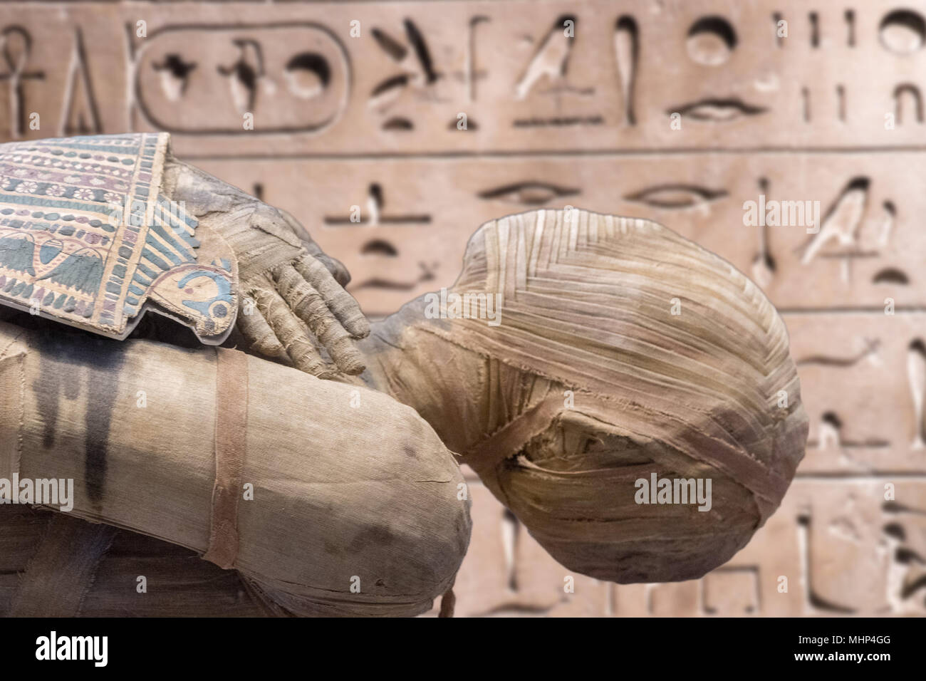 Egyptian mummy close up detail with hieroglyphs background Stock Photo ...