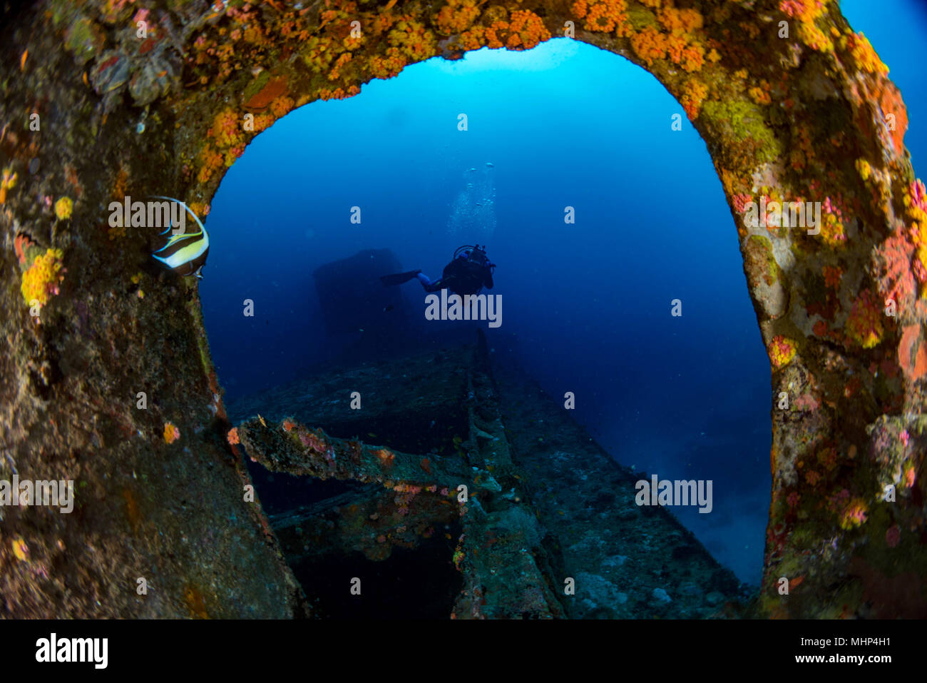 scuba diver diving on Ship Wreck underwater in maldives Stock Photo - Alamy