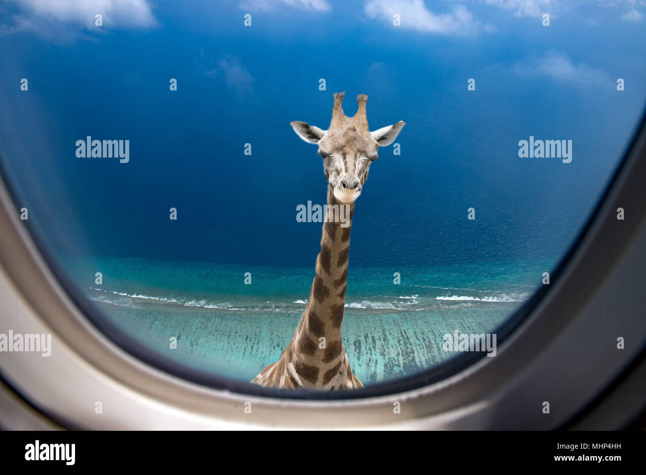 Airplane house africa hi-res stock photography and images - Alamy