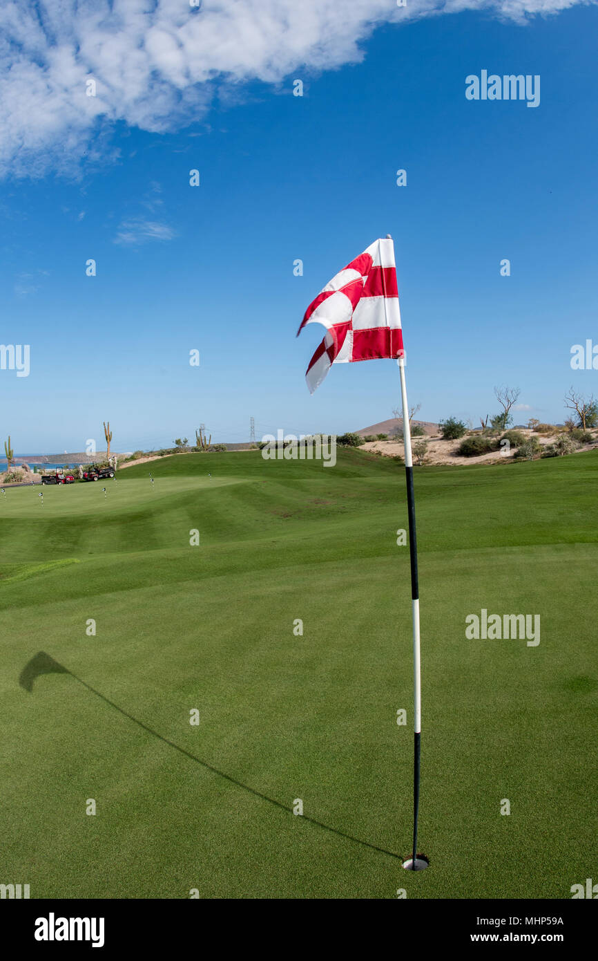 Golf club dry grass hi-res stock photography and images - Alamy