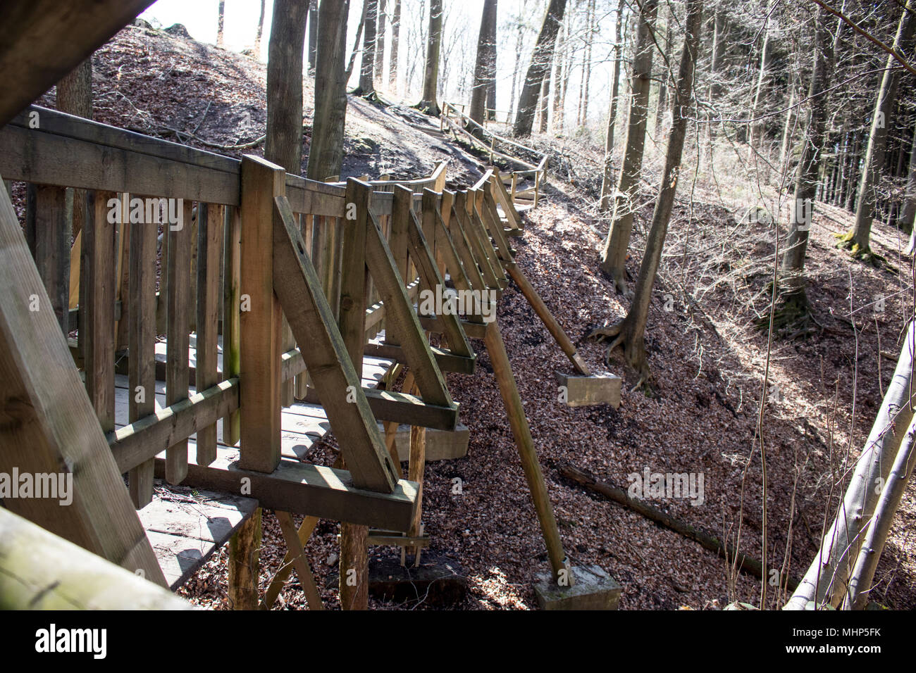 Massive wooden bridge in a german forest Stock Photo - Alamy