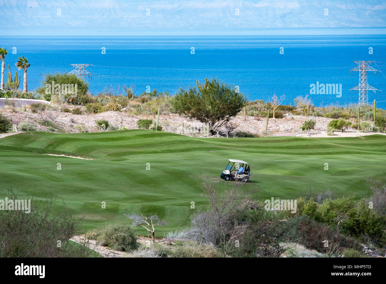 desert golf course green in Baja California Stock Photo - Alamy