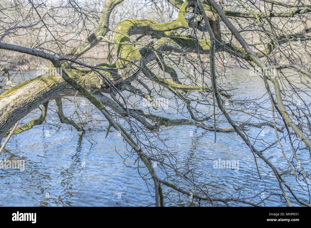 A scene of natural water Stock Photo - Alamy
