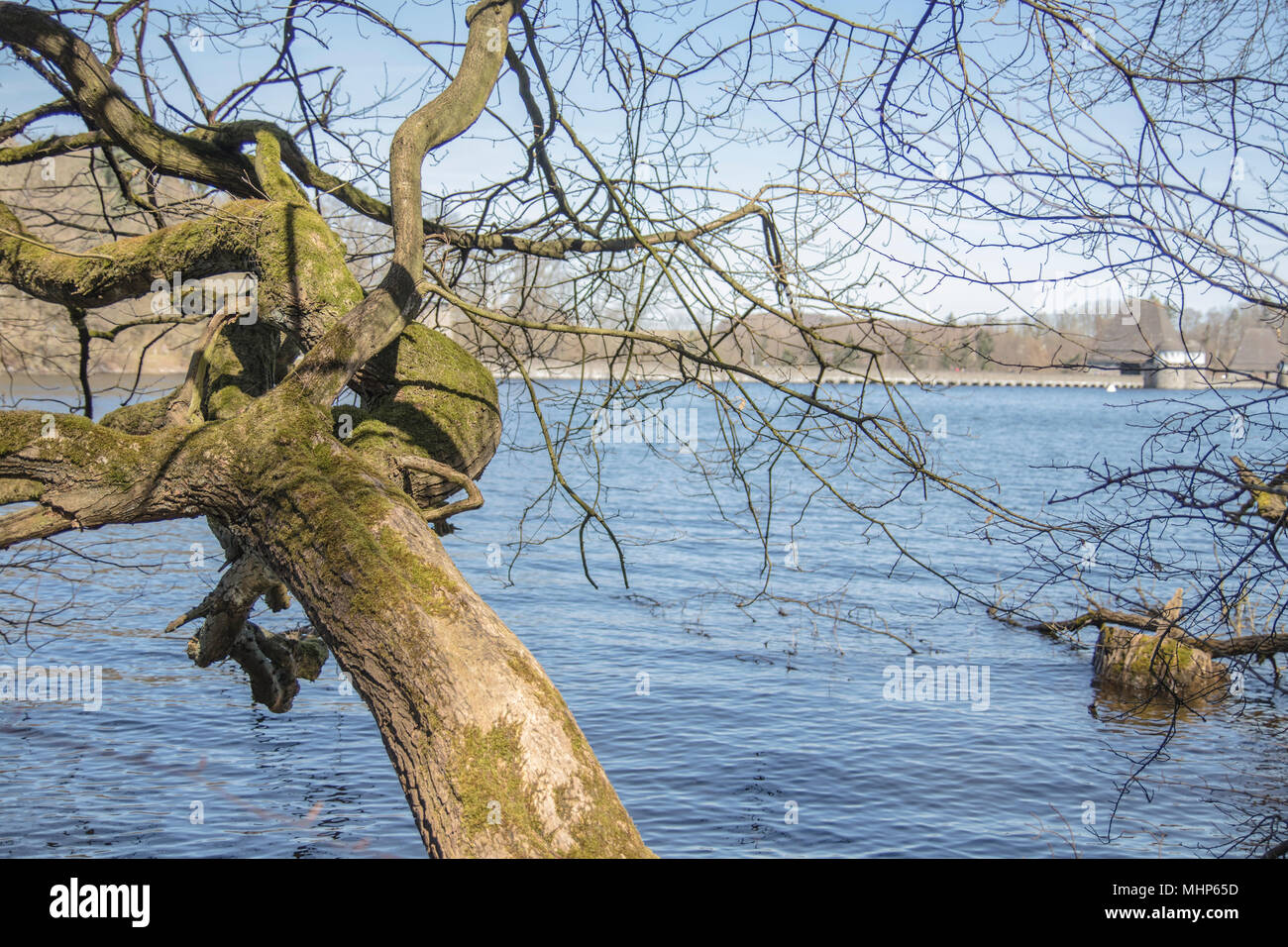 A scene of natural water Stock Photo - Alamy