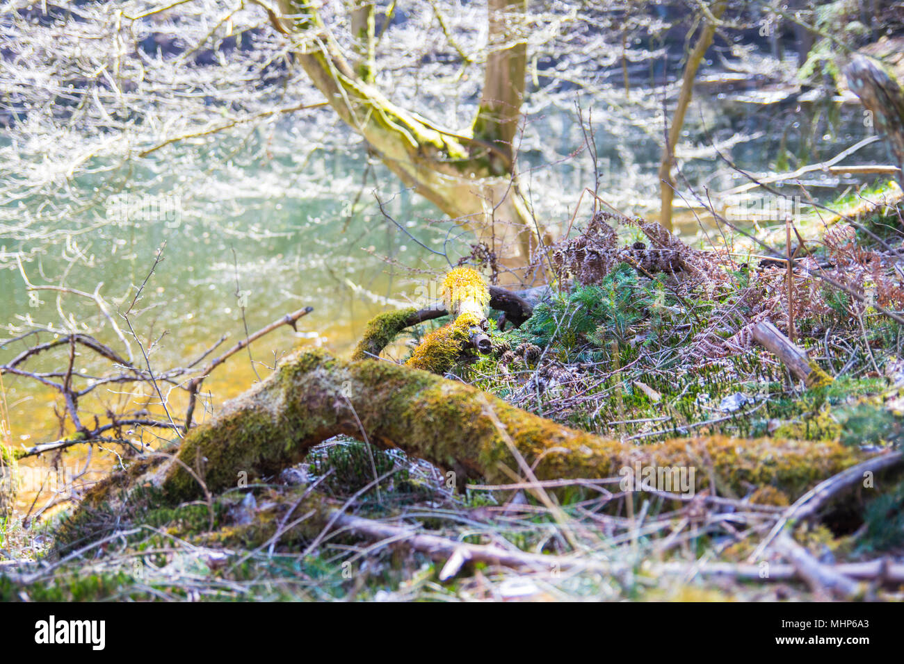 A scene of natural water Stock Photo - Alamy