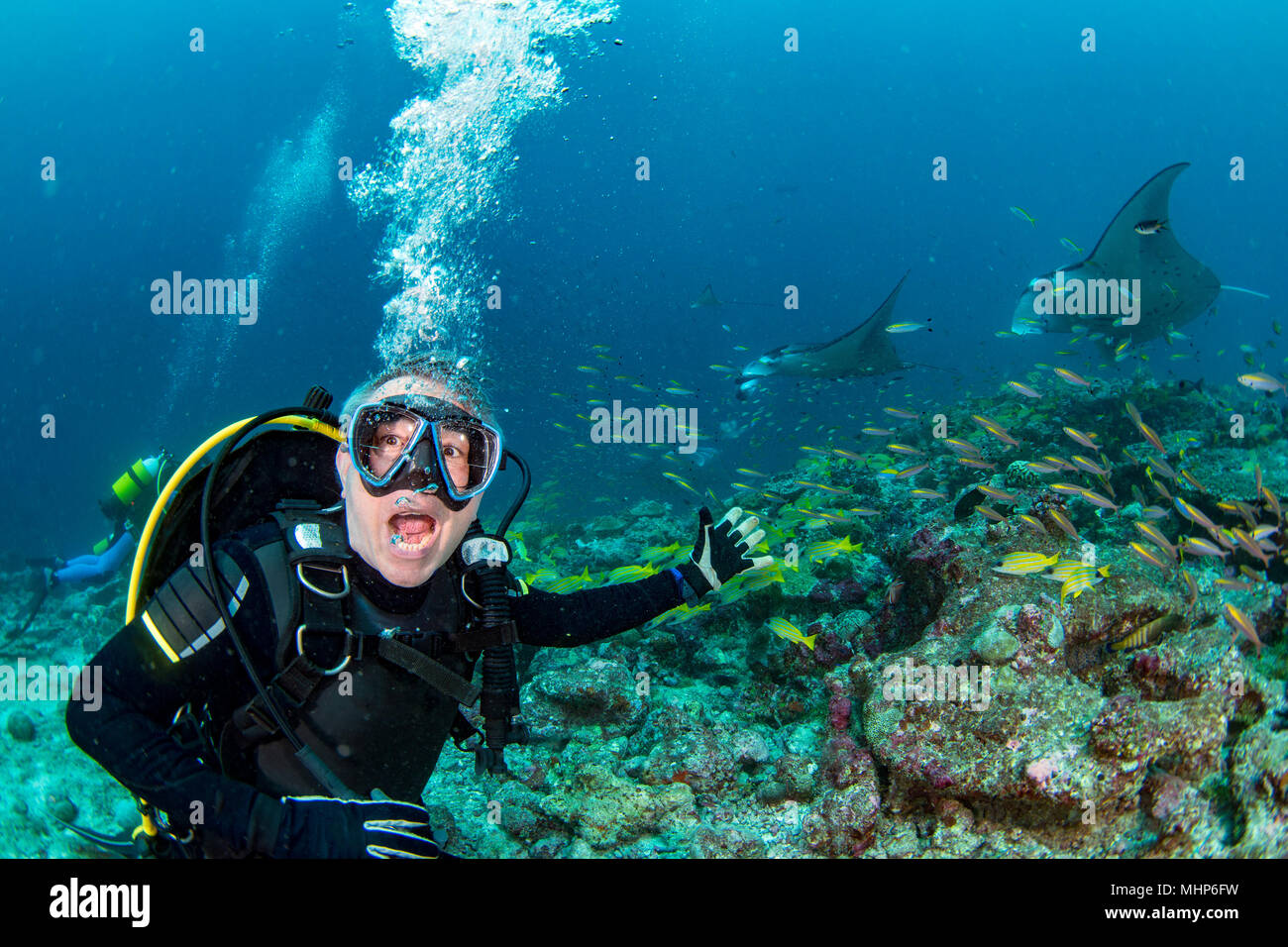 happy scuba diver yelling oh my god at Manta in the blue background ...