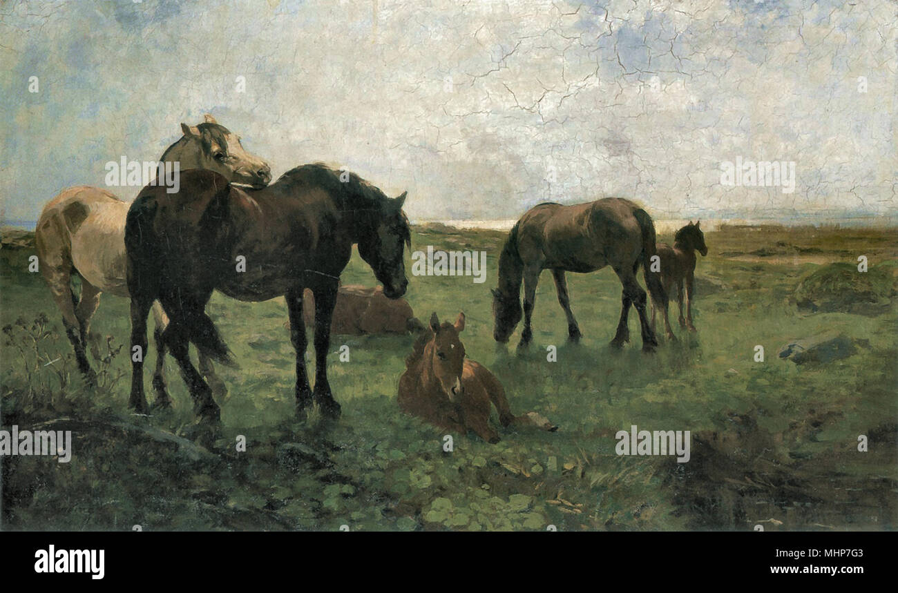 Sinding hi-res stock photography and images - Alamy