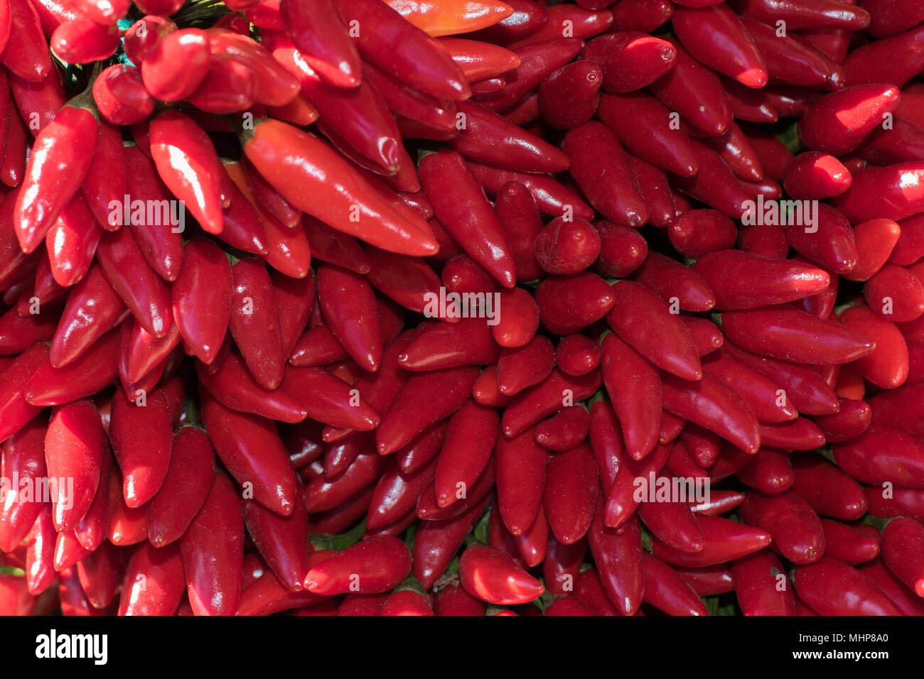 red pepper chili at the market Stock Photo - Alamy