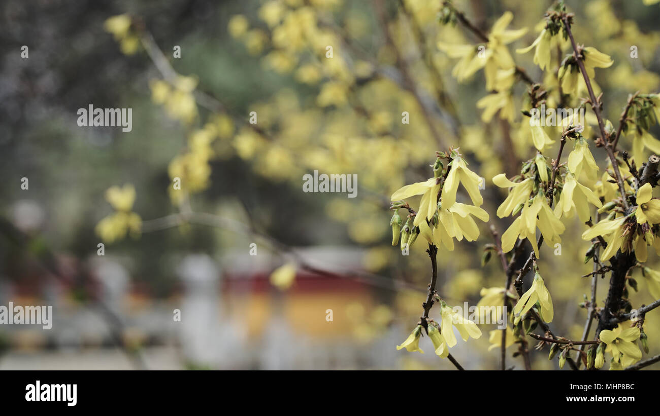 Sad tone hi-res stock photography and images - Alamy