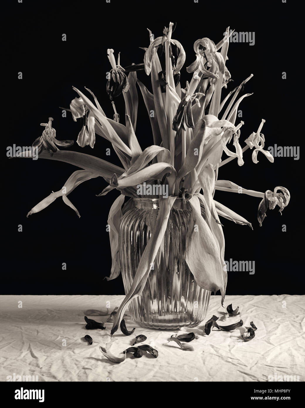 Dead flowers table hi-res stock photography and images - Alamy