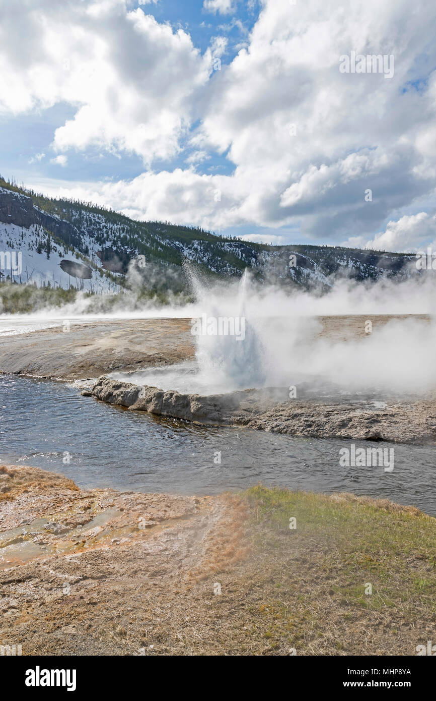 Yellowstone National Park geyser and hot springs during the spring ...