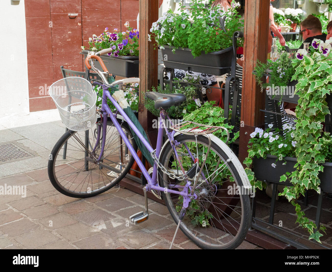 Purple cycle hi-res stock photography and images - Alamy