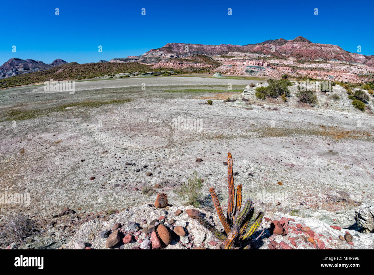 Baja California desert landscape view panorama Stock Photo - Alamy