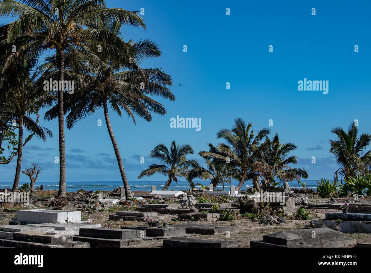 Cemetery on tropical coconut pacific ocean beach background Stock Photo ...