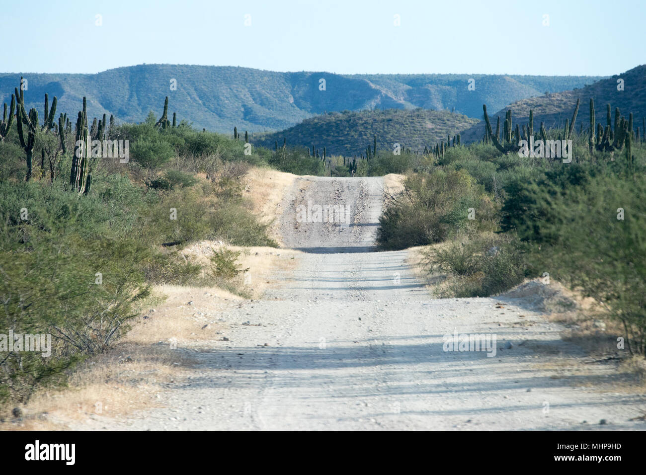Baja California desert endless road landscape view panorama Stock Photo ...