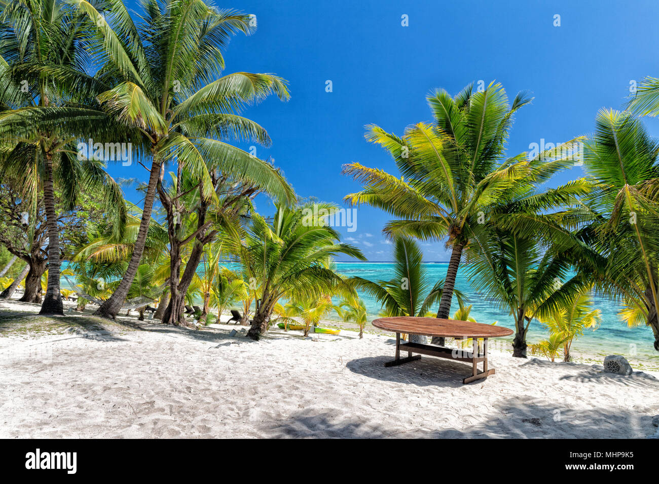 Aitutaki island coconut tree on Polynesia beach Wonderful lagoon in ...