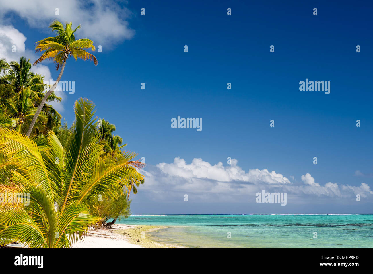 Aitutaki island coconut tree on Polynesia beach Wonderful lagoon in ...