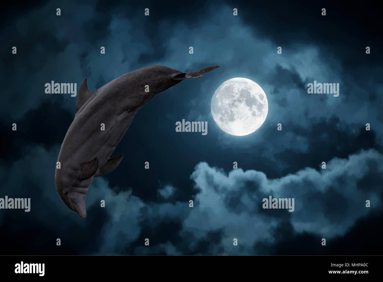 dolphin jumping outside the ocean at full moon night sky background ...
