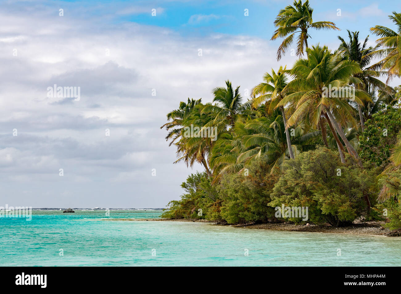 Aitutaki island coconut tree on Polynesia beach Wonderful lagoon in ...