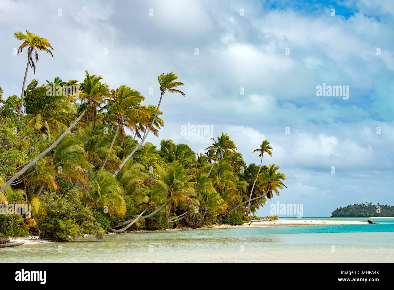 Aitutaki island coconut tree on Polynesia beach Wonderful lagoon in ...