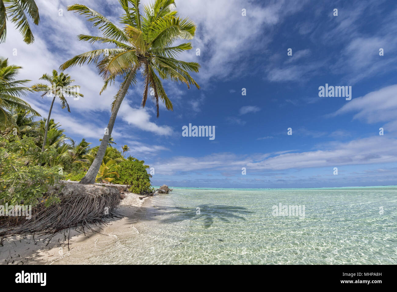 Aitutaki island coconut tree on Polynesia beach Wonderful lagoon in ...