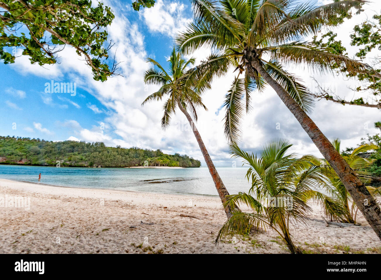 Vavau'u landscape of island in Kingdom of Tonga Stock Photo - Alamy