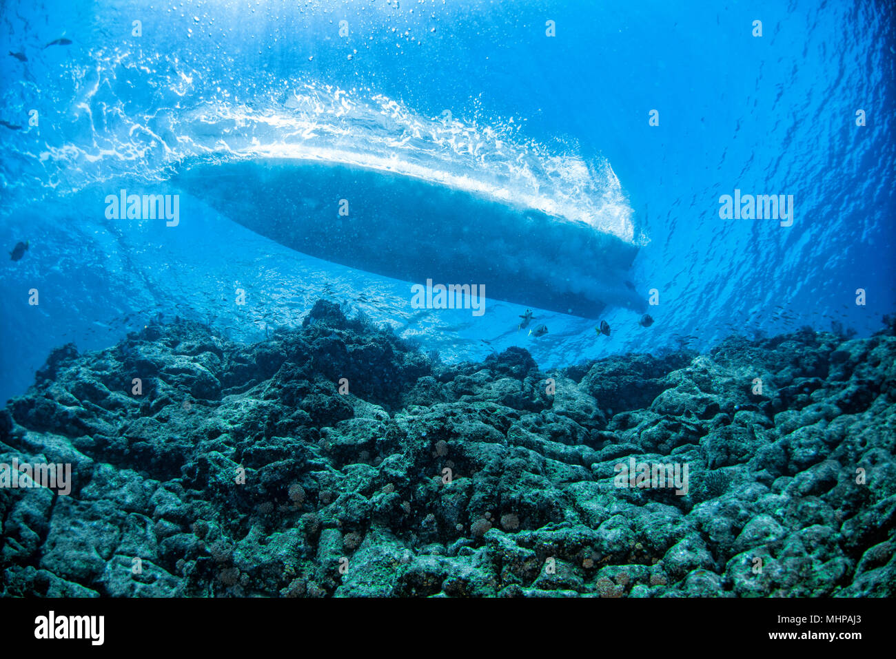 marine engine propeller underwater while diving detail close Stock ...