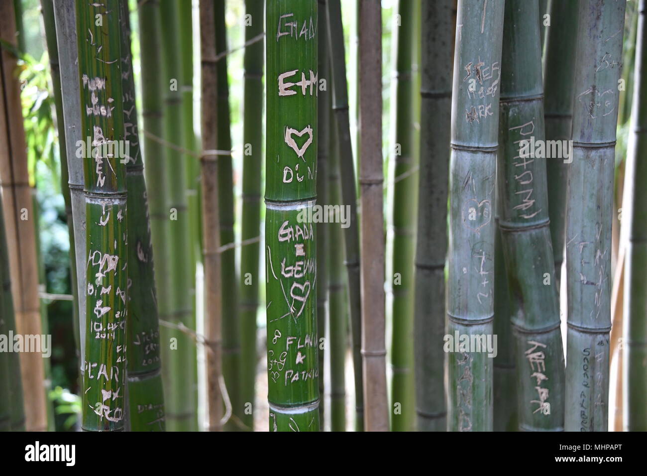 Other writings hi-res stock photography and images - Alamy