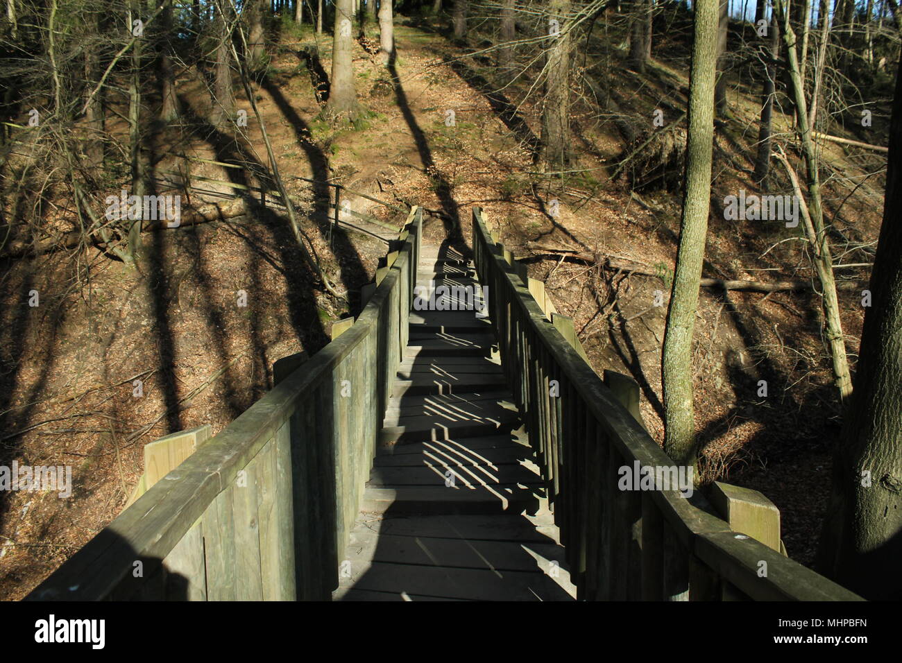 Massive wooden bridge in a german forest Stock Photo - Alamy