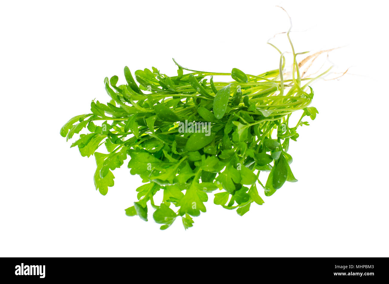 Photo studio concept young Cut Out Stock Images & Pictures - Alamy