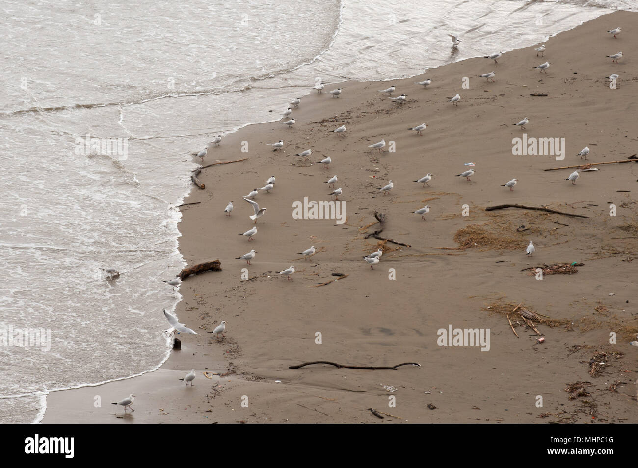 Mar Tirreno High Resolution Stock Photography and Images - Alamy