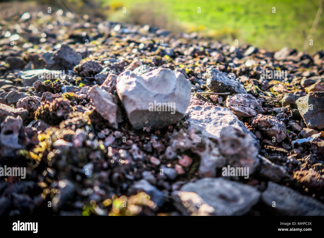 rocks on the ground Stock Photo - Alamy