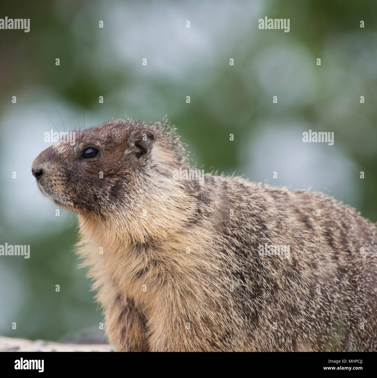 Regions of canada hi-res stock photography and images - Alamy