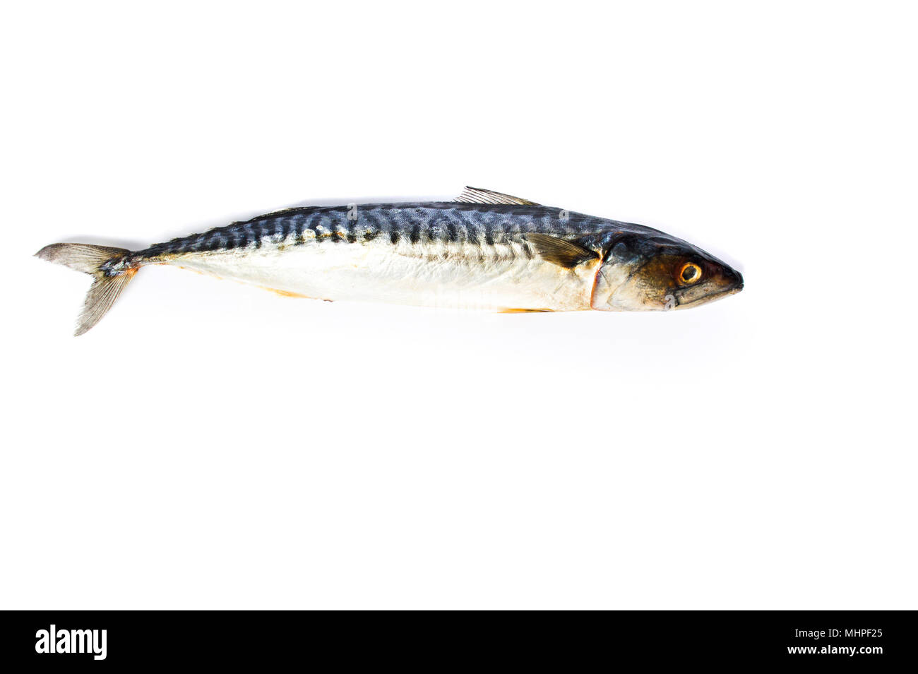 Raw mackerel fish isolated on white background Stock Photo - Alamy