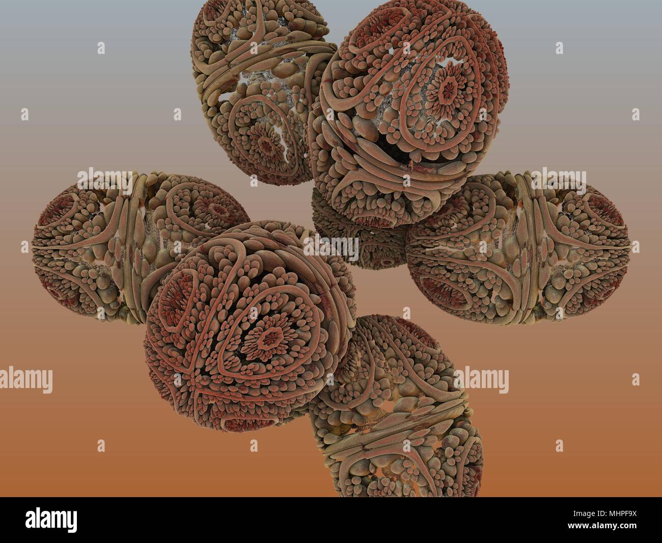 This Is A Mathematical Fractal Which Is A Combination Of Complexity