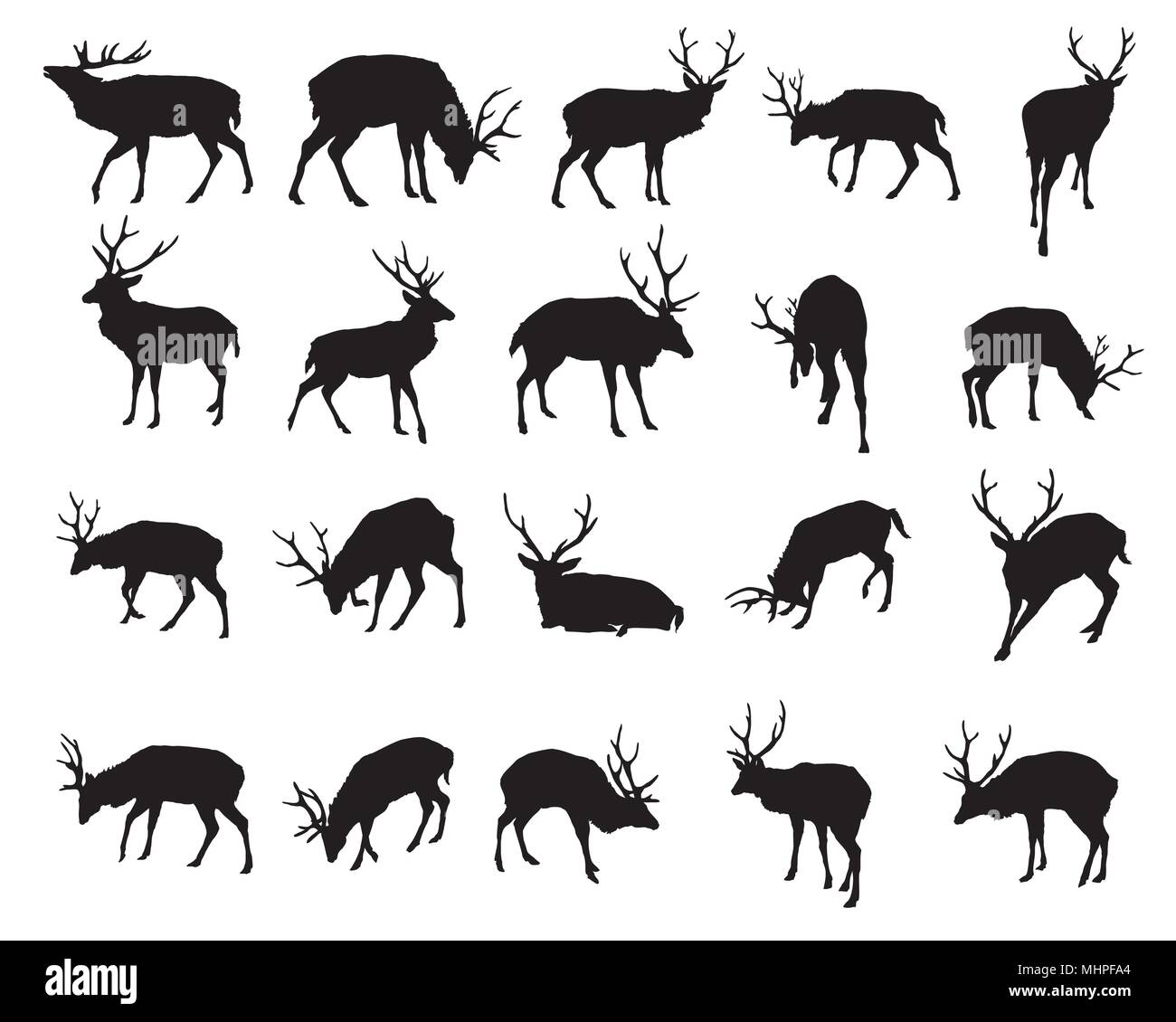Buck Silhouette Outline