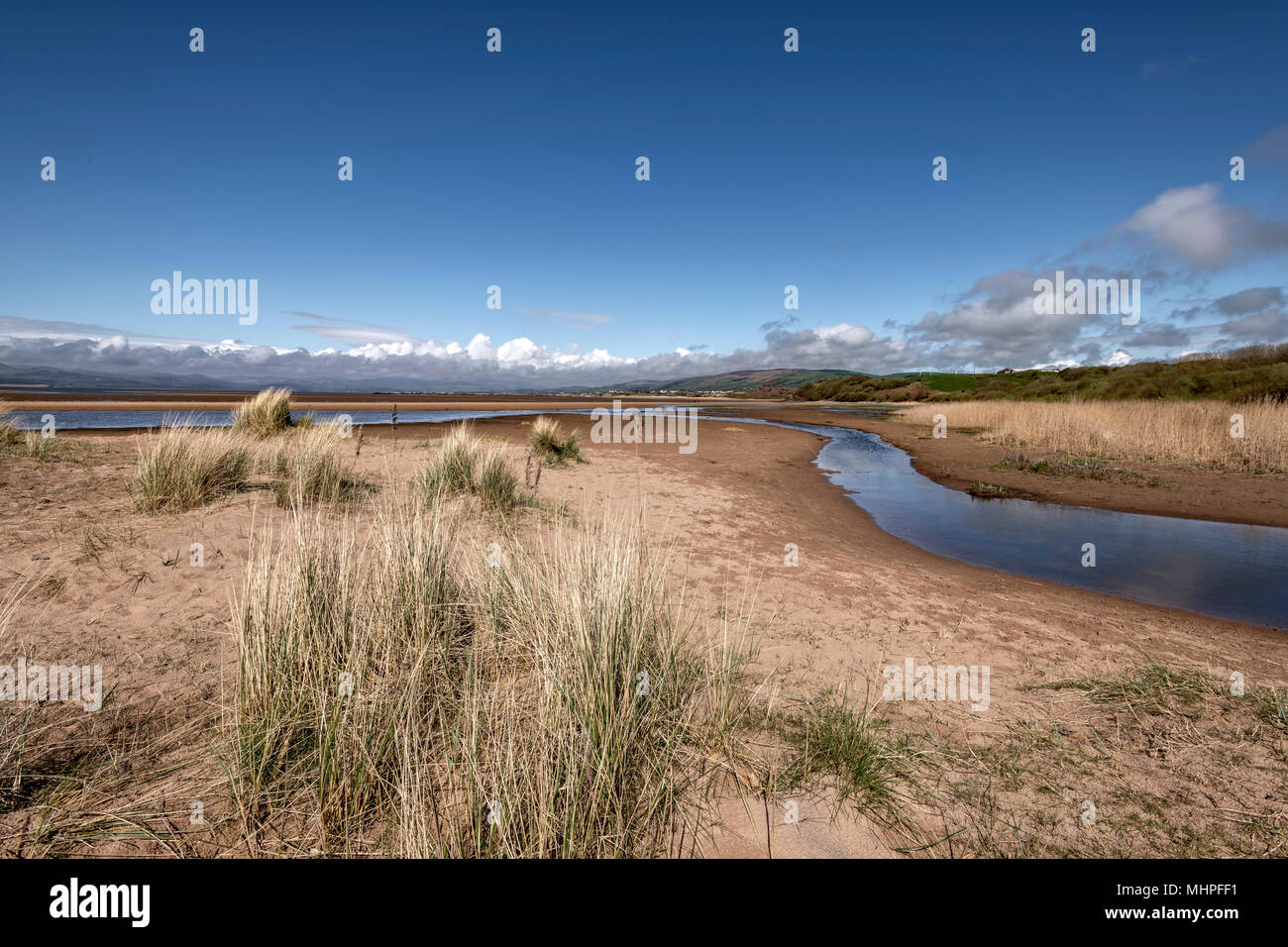 Sandscale Haws National Trust nature reserve Stock Photo - Alamy
