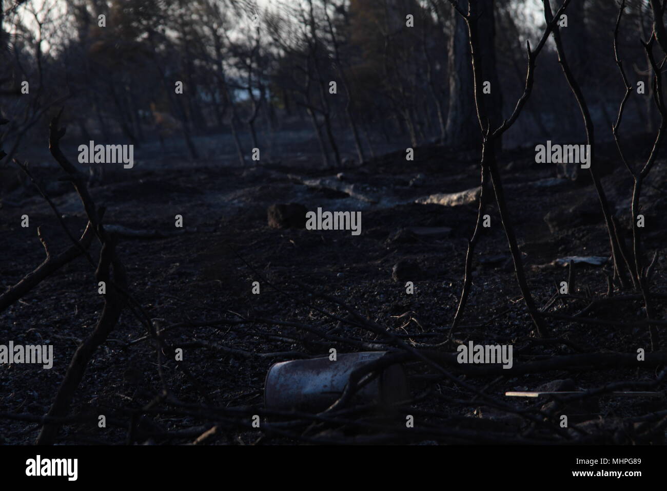 forest fire in a small town Stock Photo - Alamy