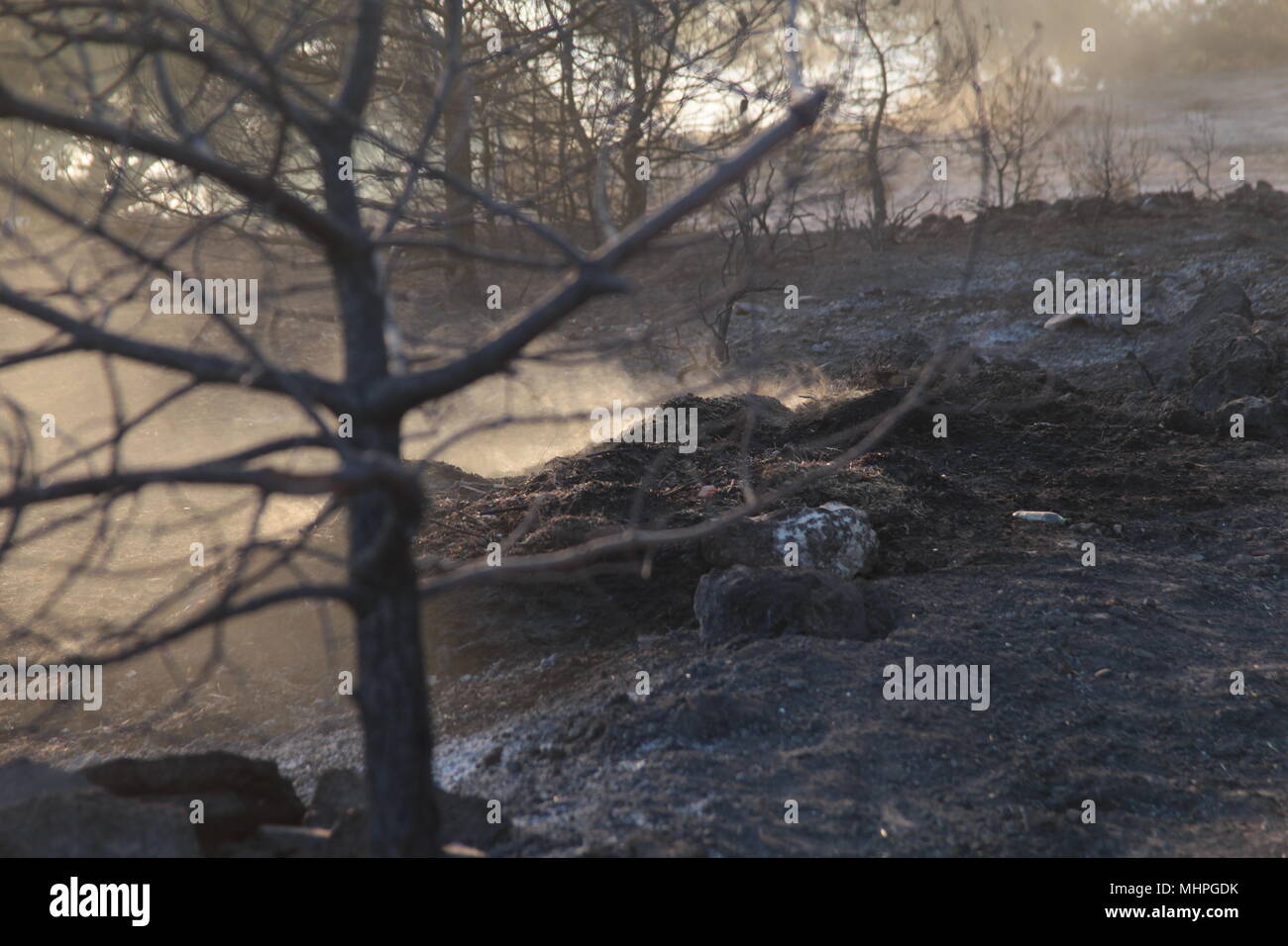 forest fire in a small town Stock Photo - Alamy
