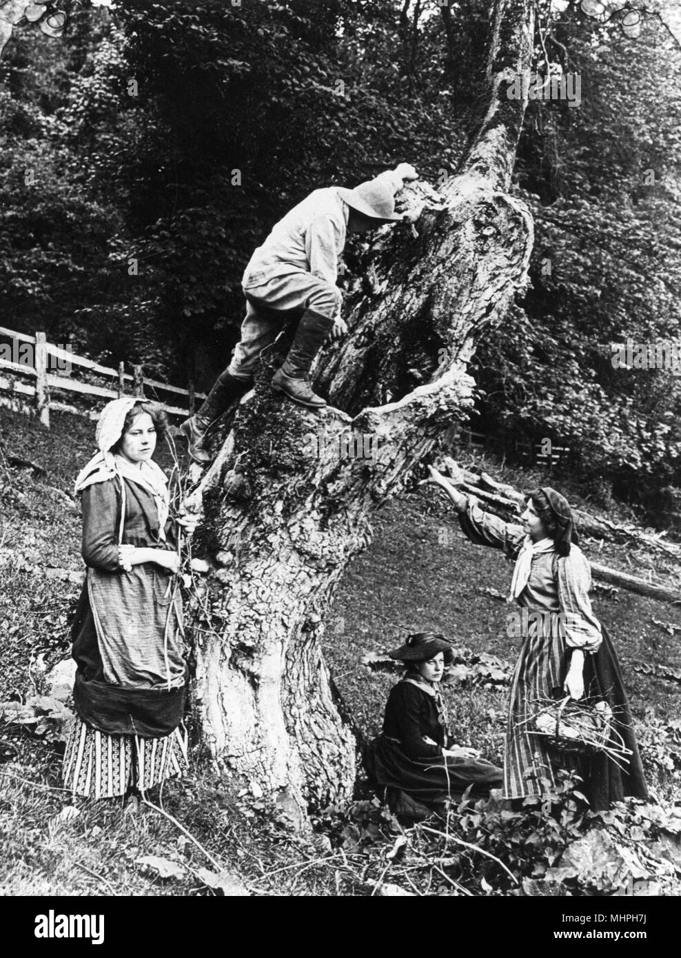 Collecting firewood Black and White Stock Photos & Images - Alamy