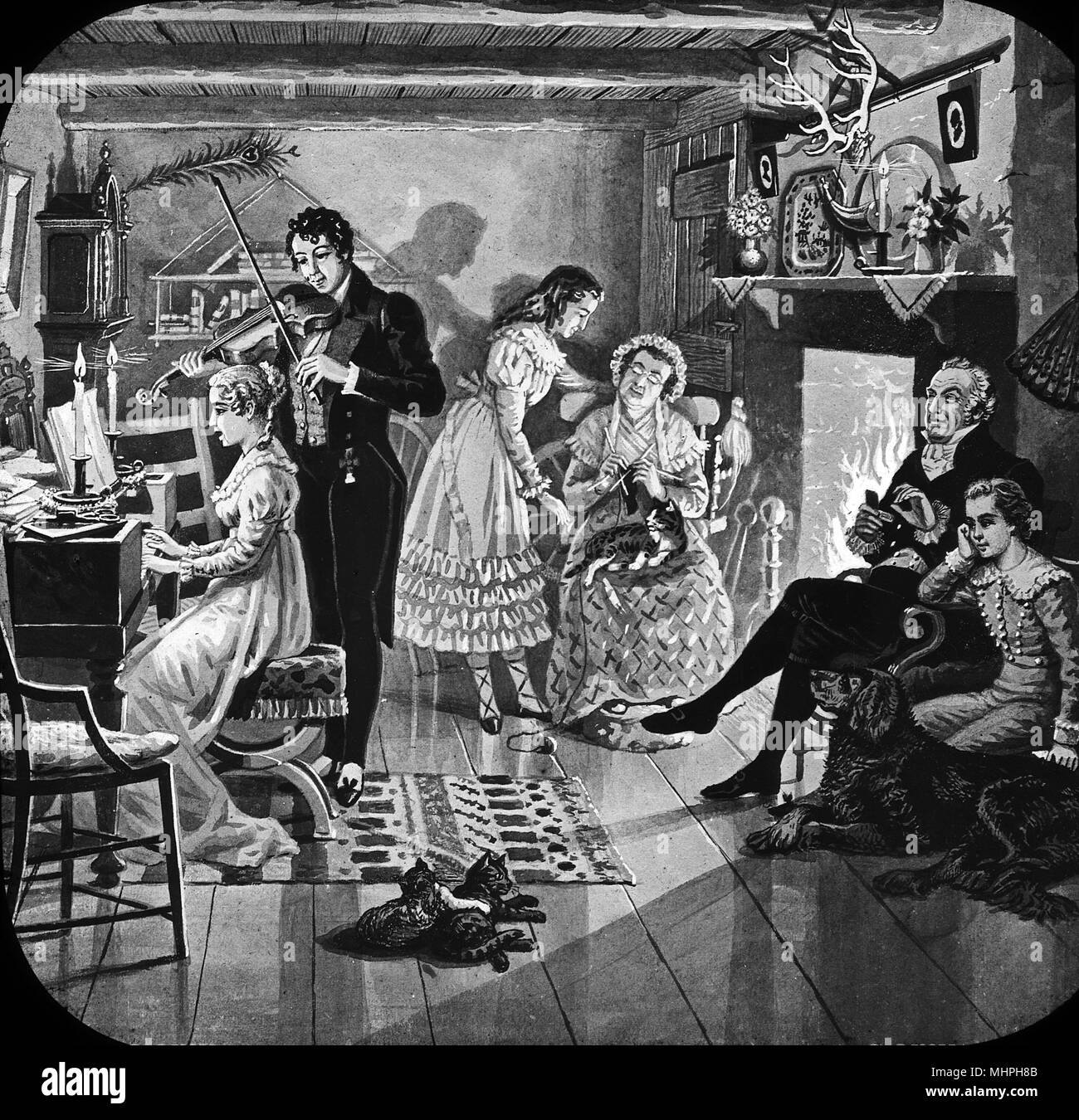 Domestic cats playing Black and White Stock Photos & Images - Alamy